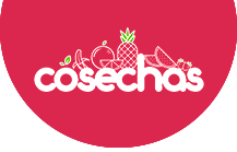 The Gaussian Transform and Randomness in Sea of Spirits In complex ...